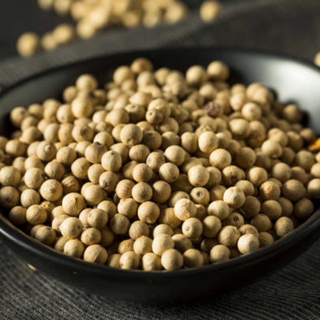 White Pepper | Safed Mirch - My Tikachi